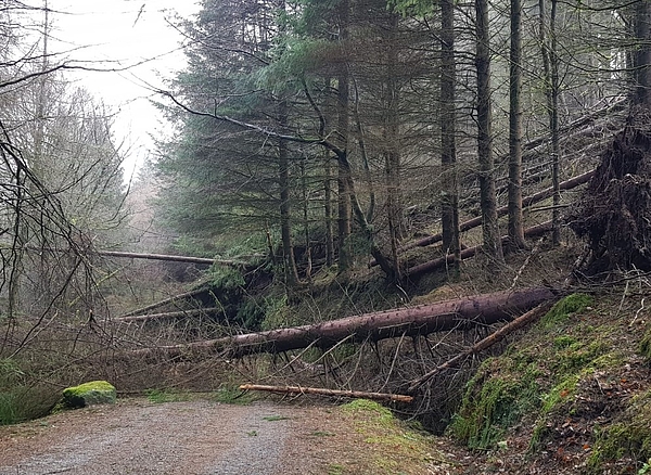 Dublin Mountains Way | Dublin Mountains Way | Dublin Mountains Partnership