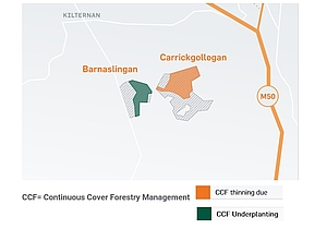 Carrickgollogan | Recreation Sites | Dublin Mountains Partnership